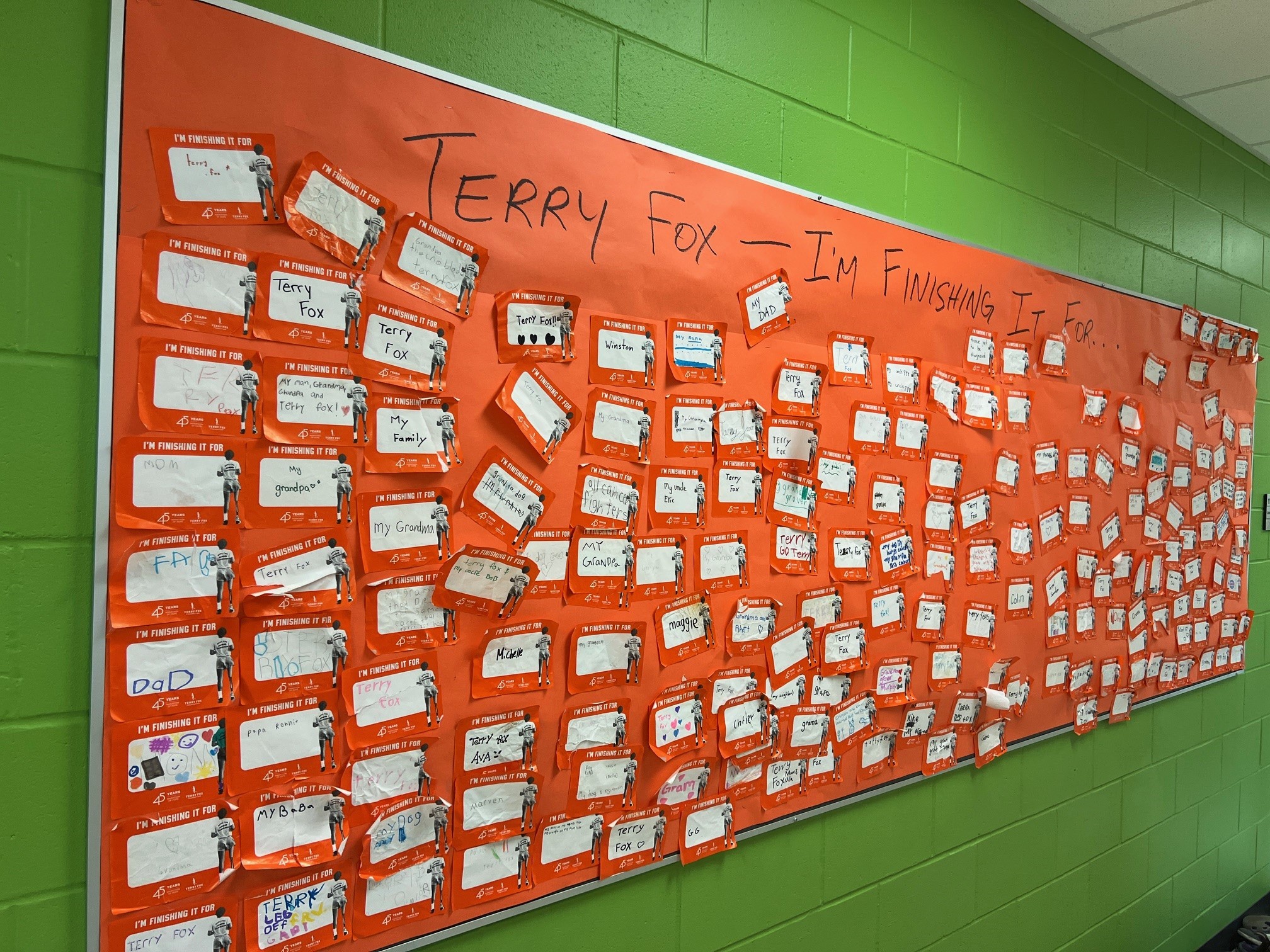 Terry Fox Bulletin Board